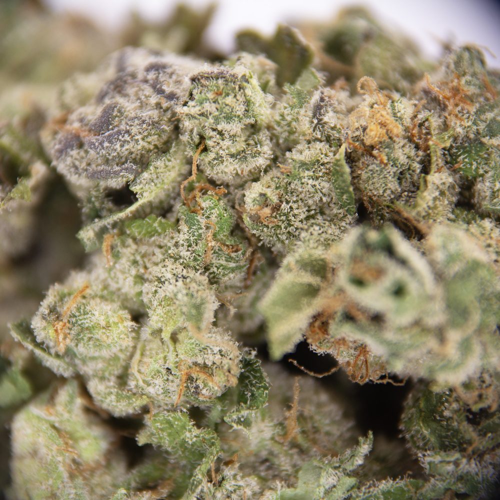 Point Break AA – Rocket Chronic